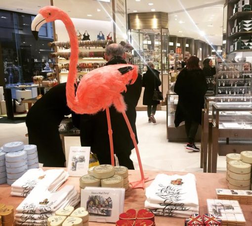 Alice in Wonderland shops around the world - Alice-in-Wonderland.net blog